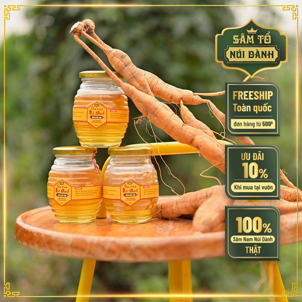 Sâm Nam ngâm mật ong 350ml - Sâm Tổ núi Dành - Sâm Tổ Núi Dành