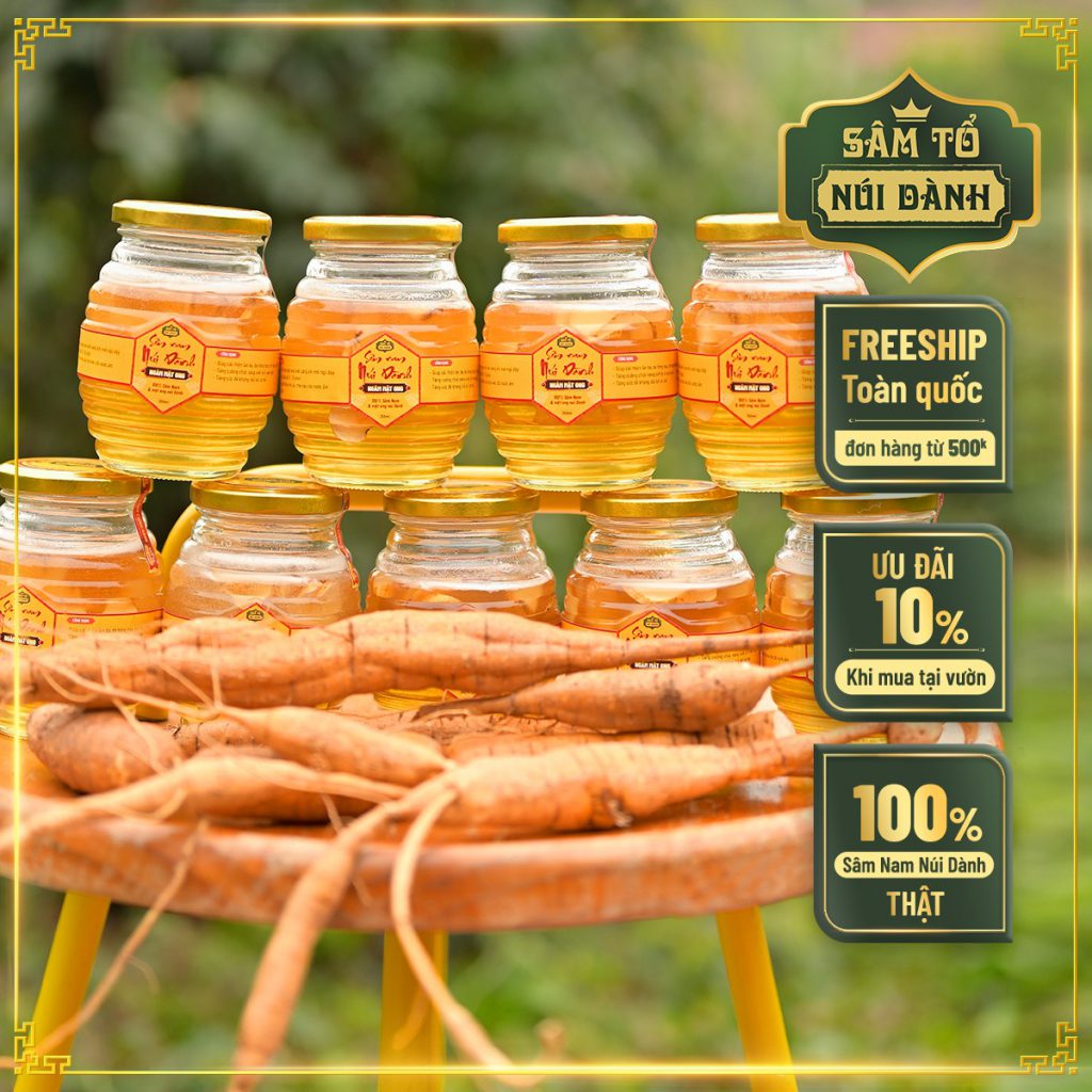 Sâm Nam ngâm mật ong 350ml - Sâm Tổ núi Dành - Sâm Tổ Núi Dành