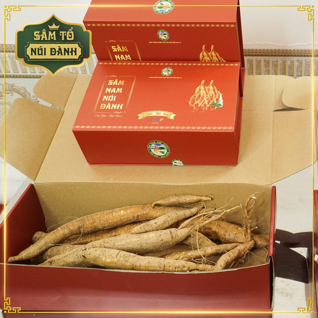 Củ Sâm Nam núi Dành tươi 1kg - Sâm Tổ núi Dành - Sâm Tổ Núi Dành
