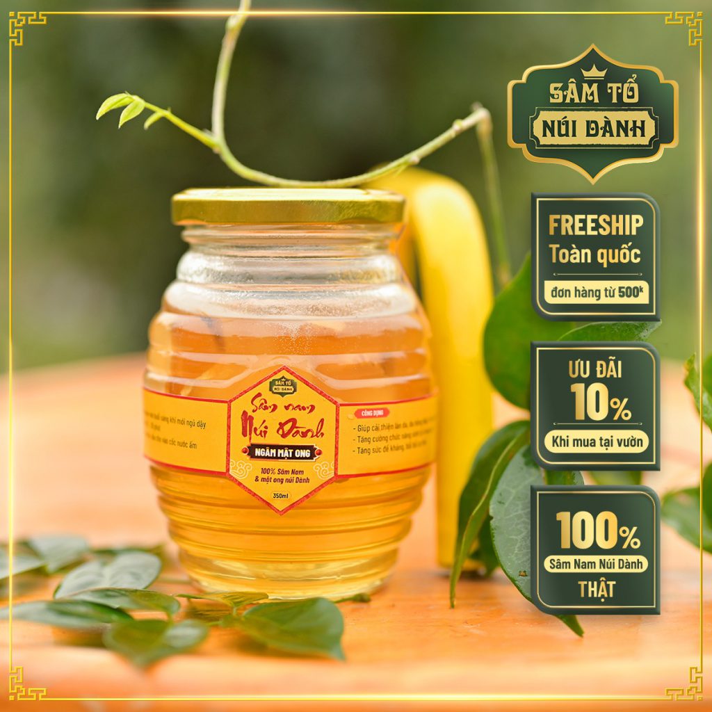 Sâm Nam ngâm mật ong 350ml - Sâm Tổ núi Dành - Sâm Tổ Núi Dành